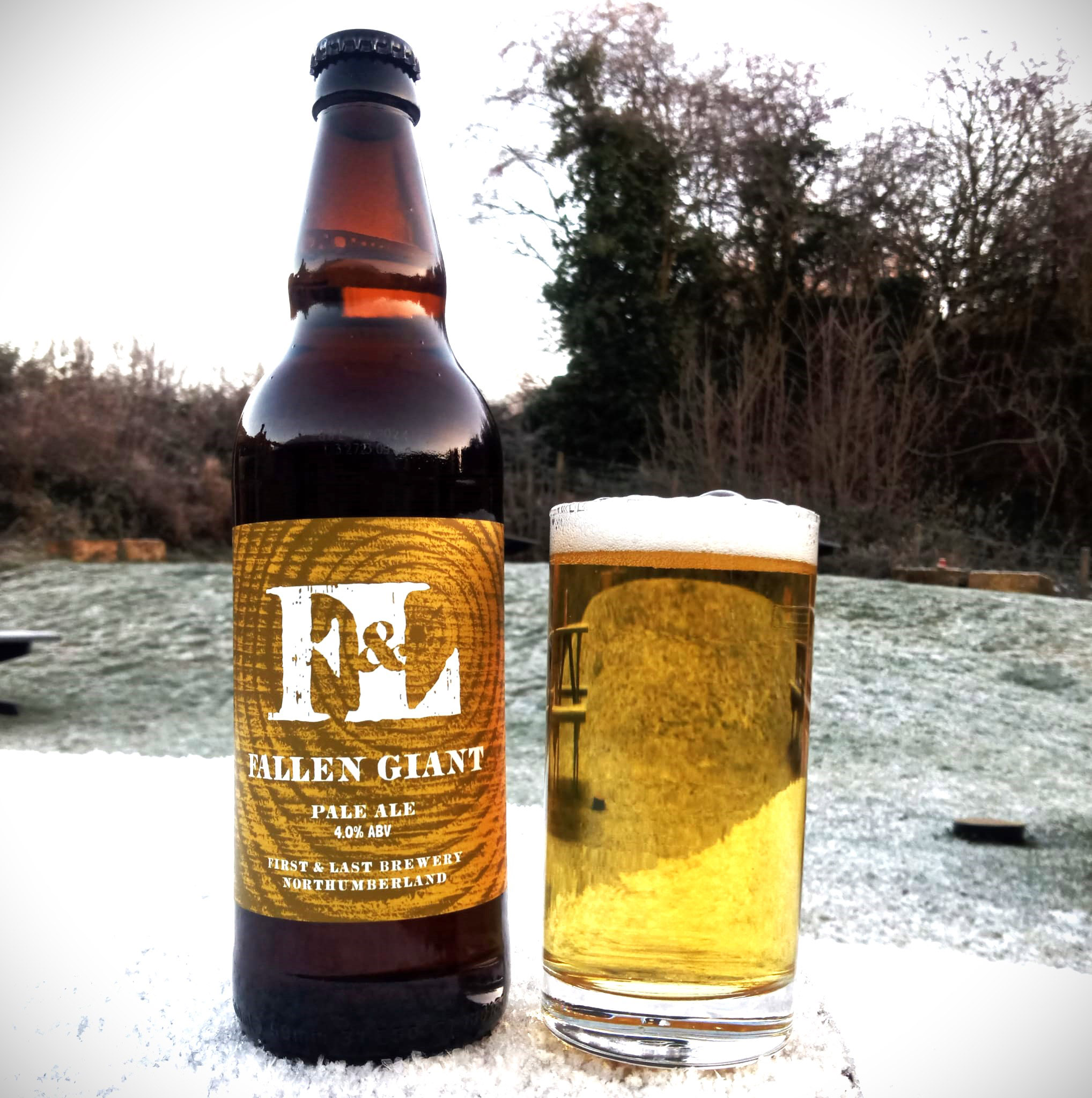 Brewery makes vegan Sycamore Gap beer – as a tribute to hacked down ...