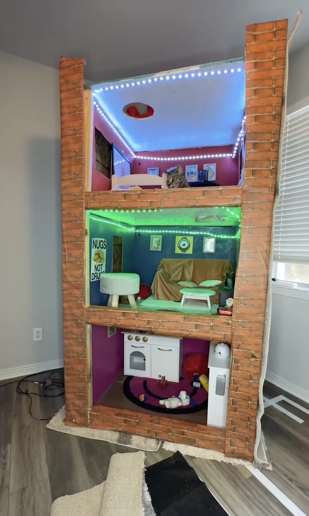 Man spends thousands making skyscraper ‘city’ for CATS – with nightclub ...
