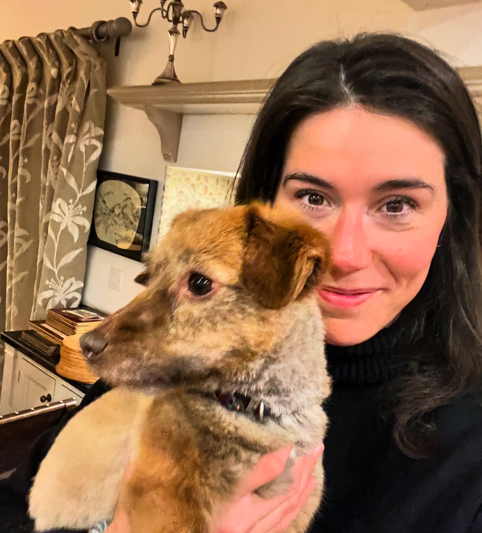 Chef reunited with beloved dog three-and-half-years after she was ...