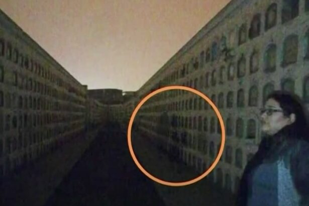 Night visitors snap ‘ghosts’ in centuries-old ‘haunted’ cemetery - What ...