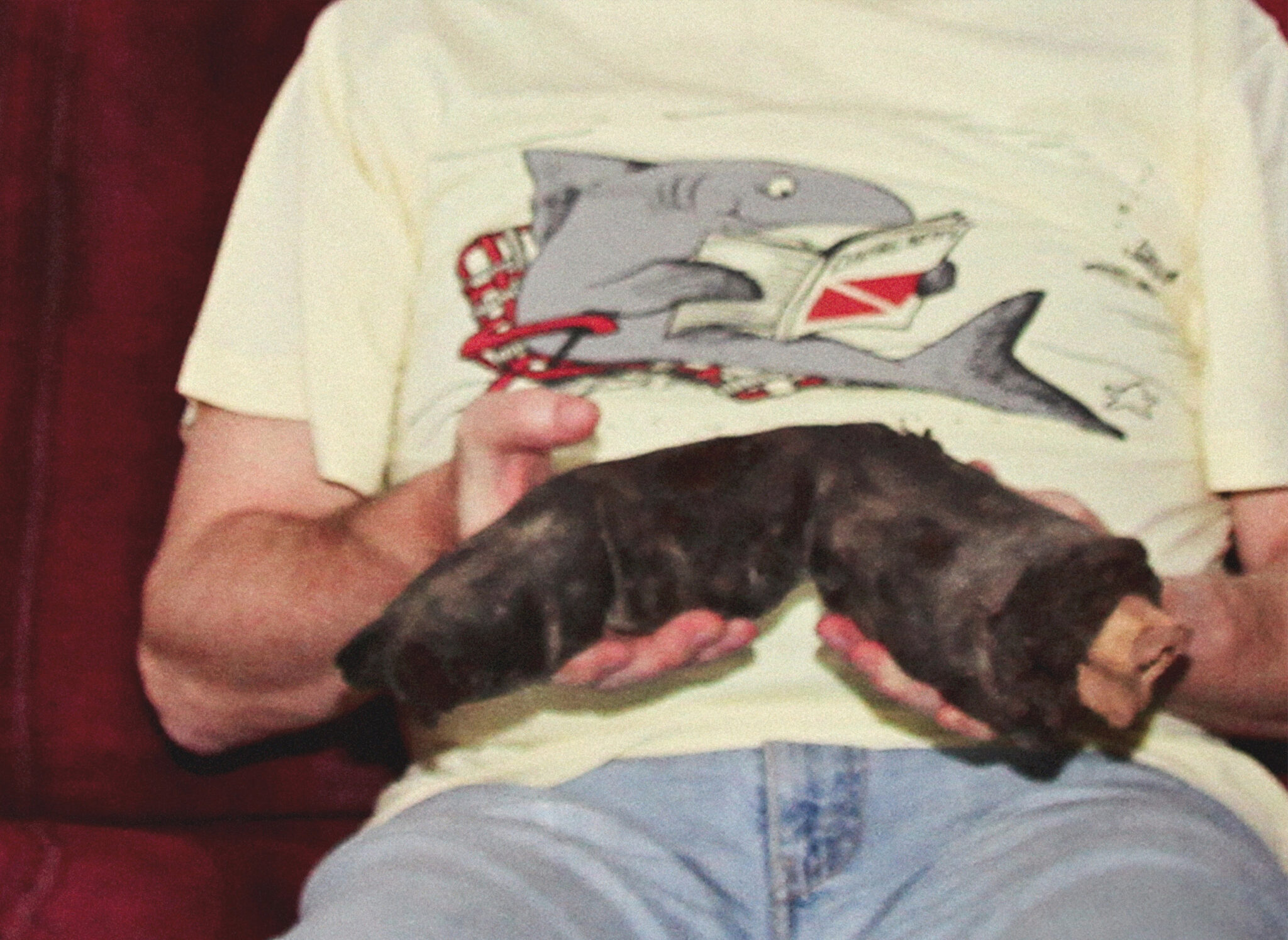 Huge mummified finger could prove existence of GIANTS in ancient Egypt ...