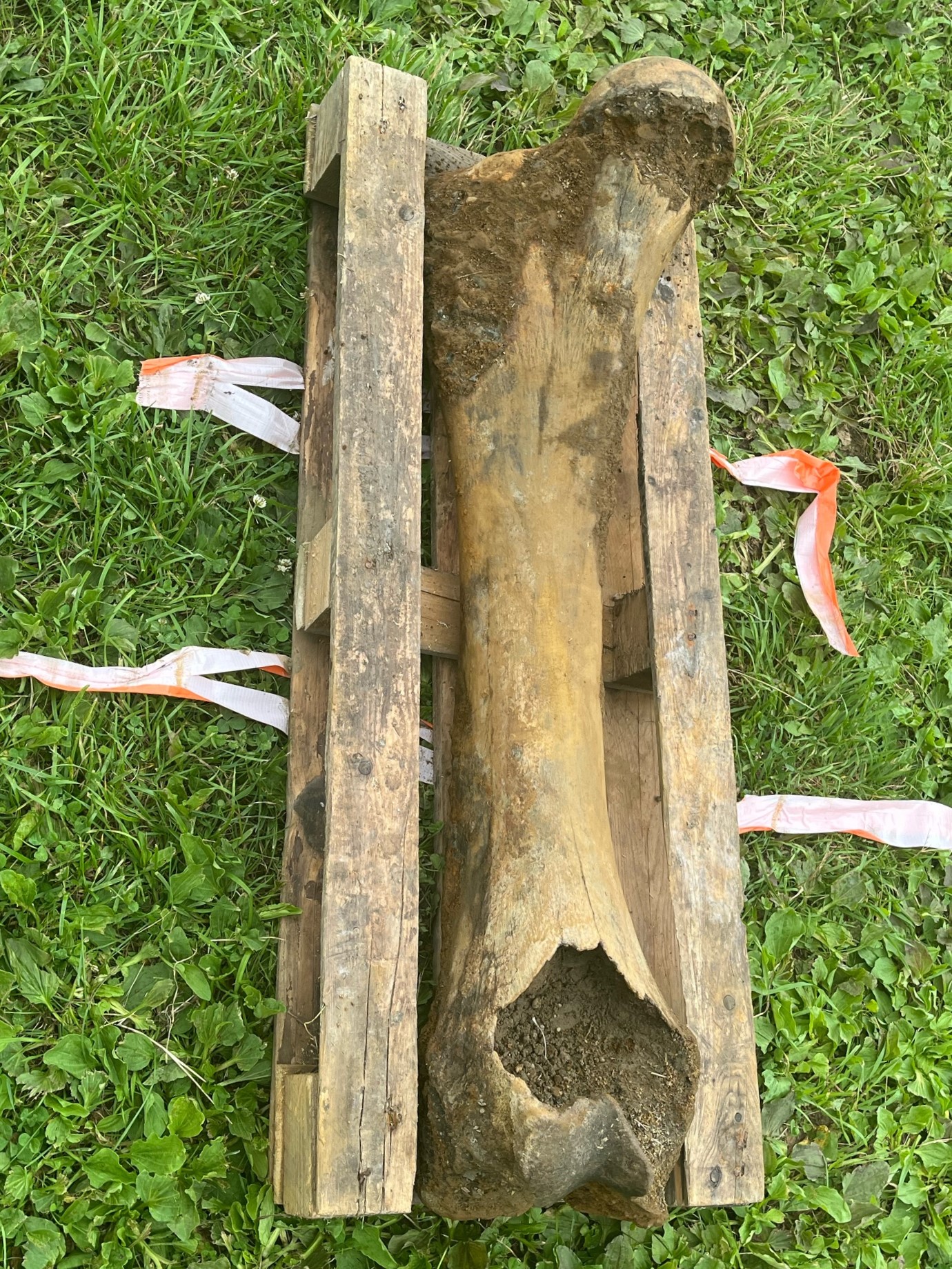 Stunned man finds MAMMOTH bone on day out fishing - What's The Jam