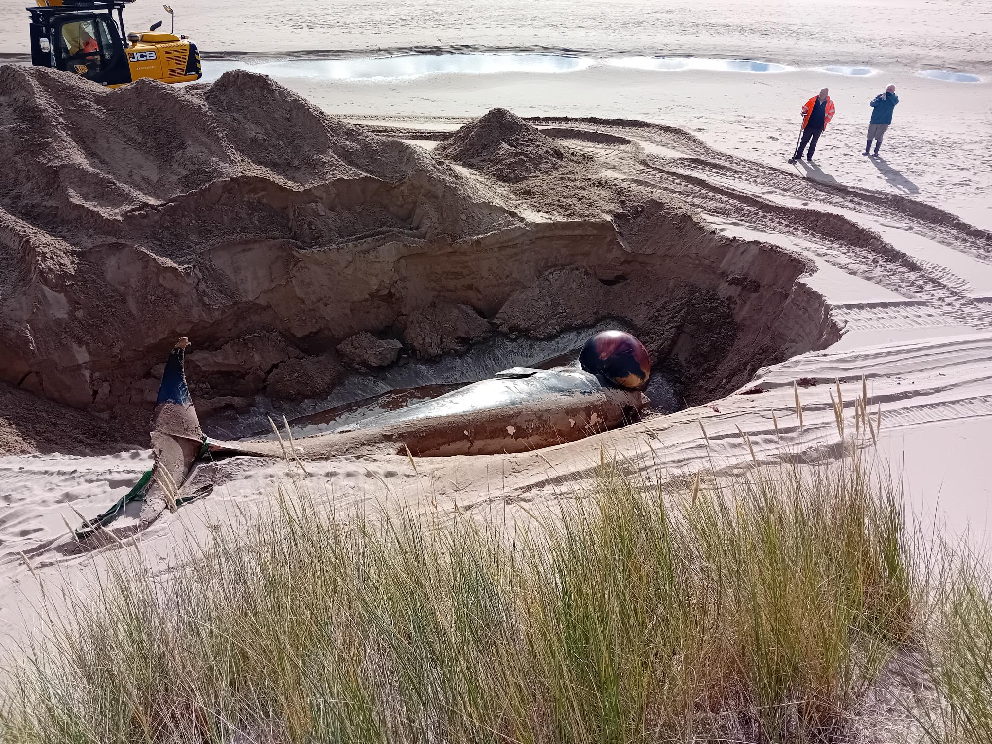 Dead 25ft whale to be buried at UK beauty spot after washing up on ...