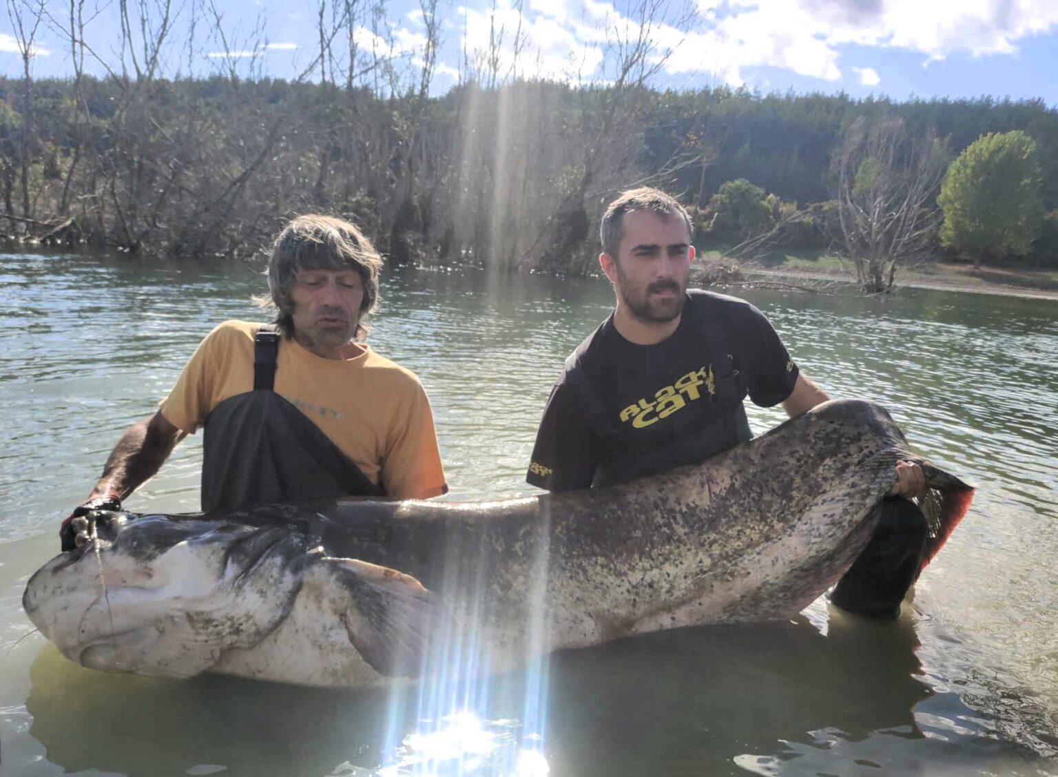 Monster 19-stone fish hauled from the dam after showing up on sonar ...