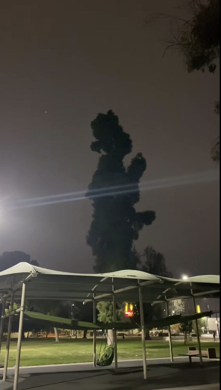 Tree shaped like rapper Jay-Z spotted near McDonald’s - What's The Jam