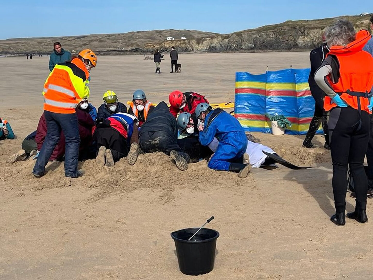 Marooned whale saved during ten hour rescue bid after getting stuck on beach - What's The Jam