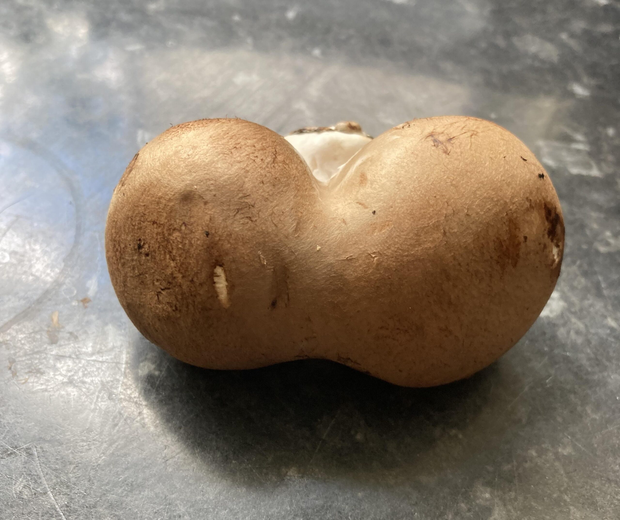 Kim Kardashian Potato