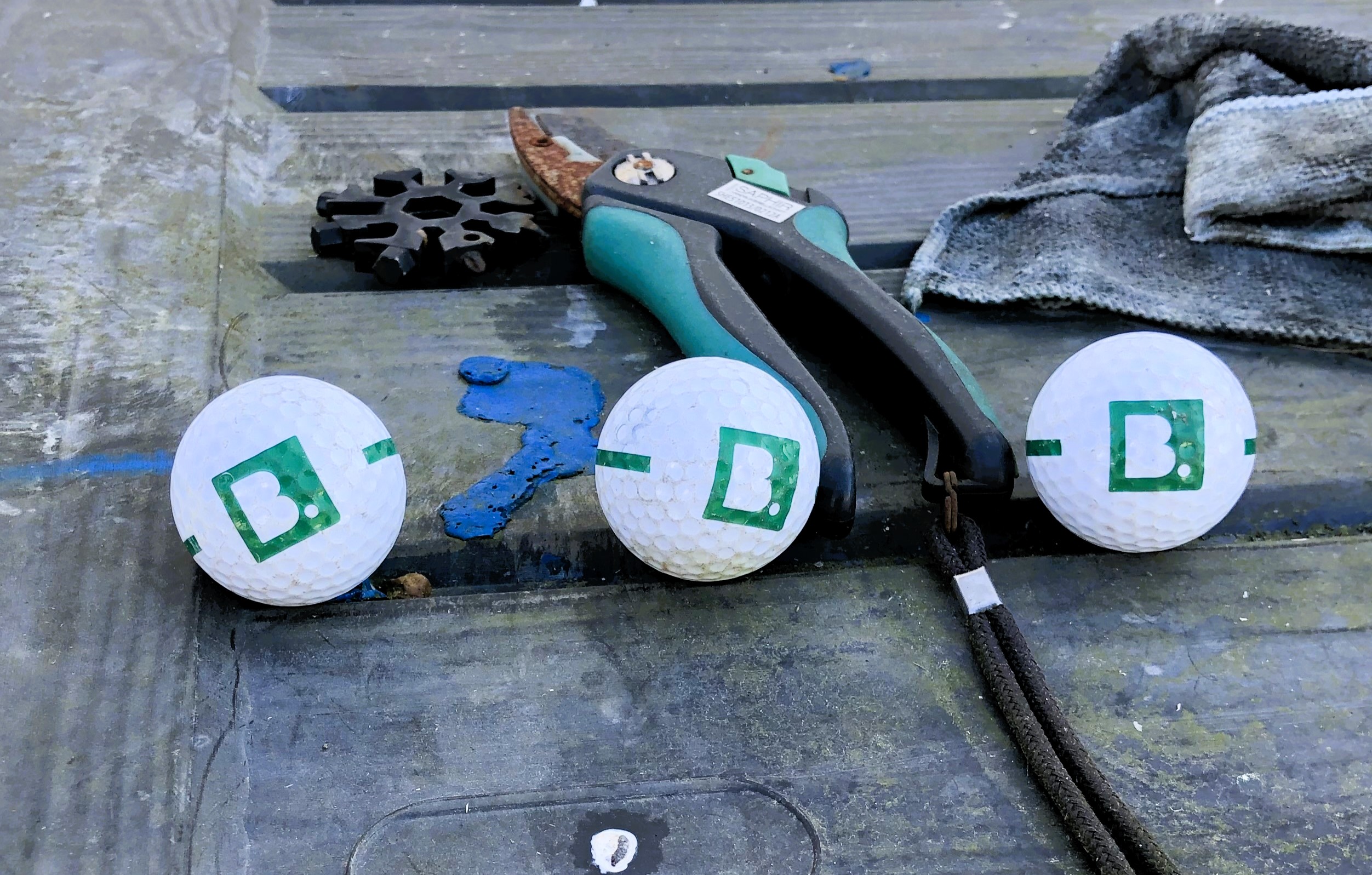 Residents near golf club complain after homes ‘bombarded’ with stray ...