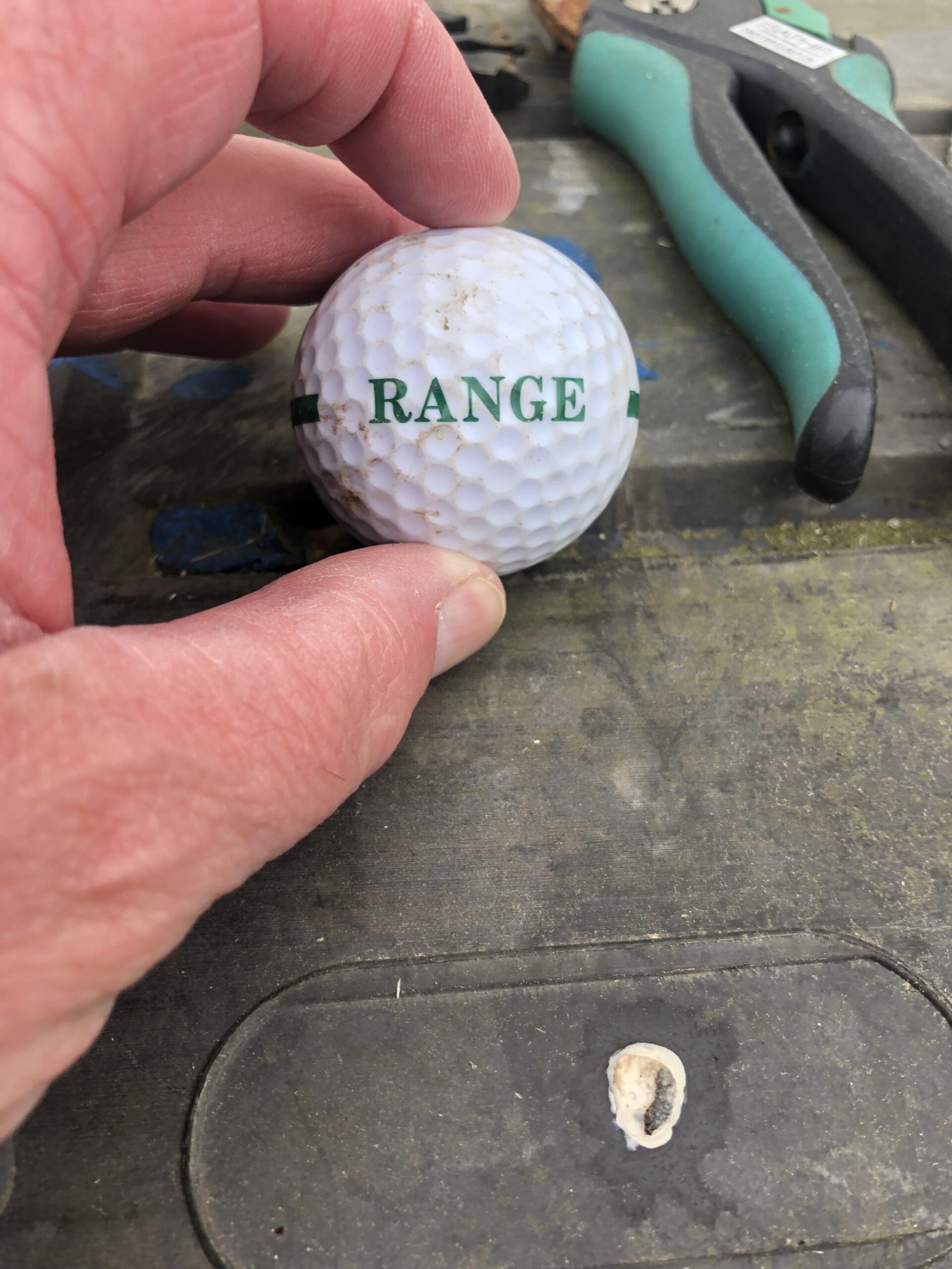 Residents near golf club complain after homes ‘bombarded’ with stray ...