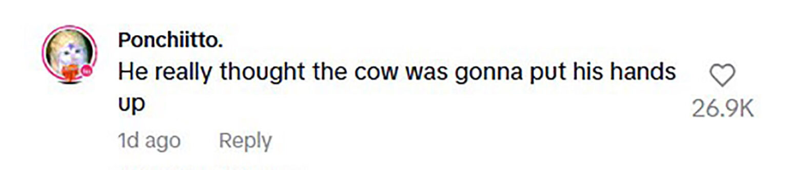 Rogue cow charges into cop who showed up with sirens blaring - What's ...
