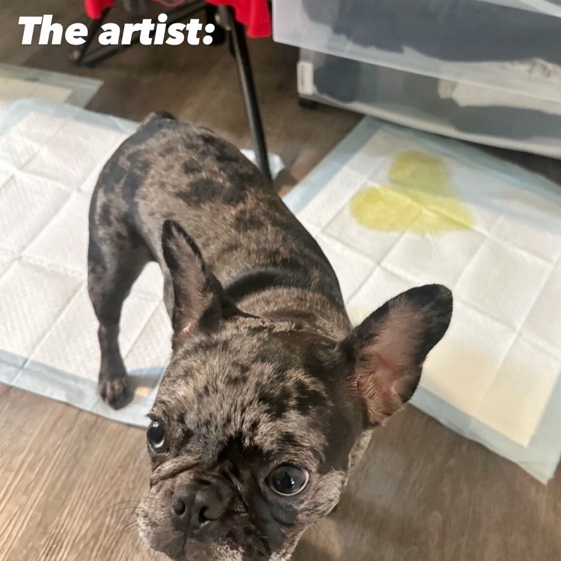 Peecasso! Pet owner frames puppy’s WEE after pooch creates perfect ...