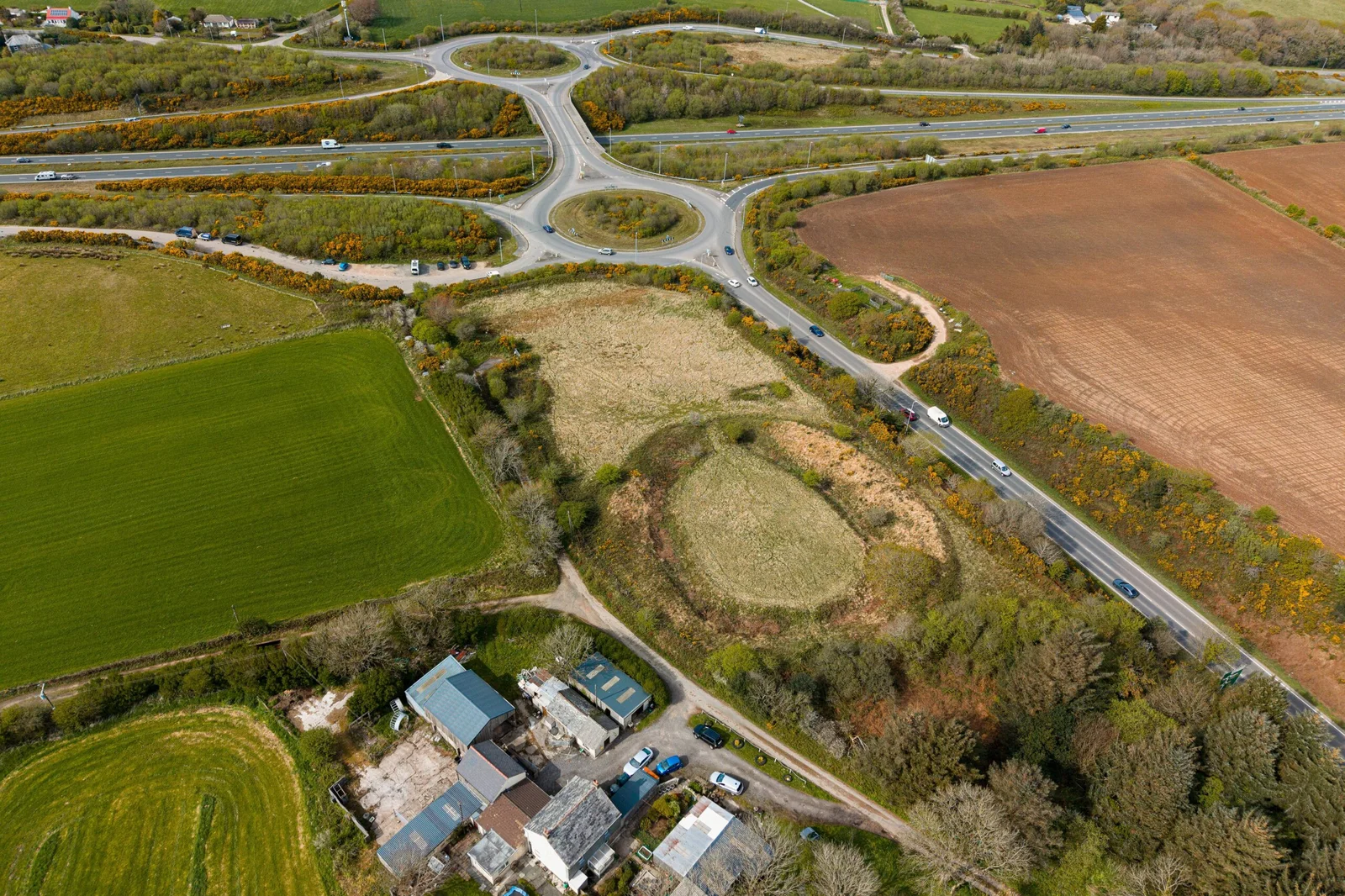 Ancient ritual site in danger of being overrun by plants - What's The Jam