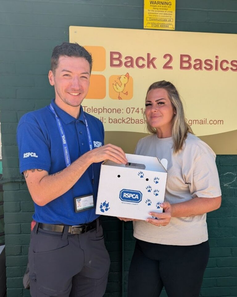 Deadly python feared to be on loose at chippy…only for hapless staff to ...