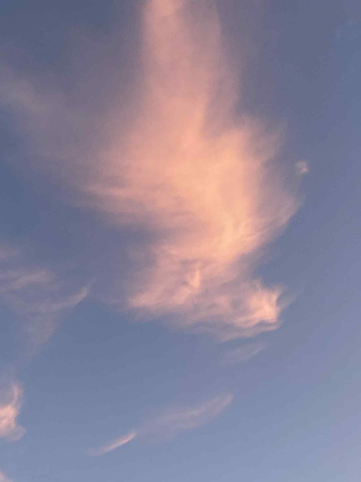 President Donald Trump’s face appears in the sky - What's The Jam