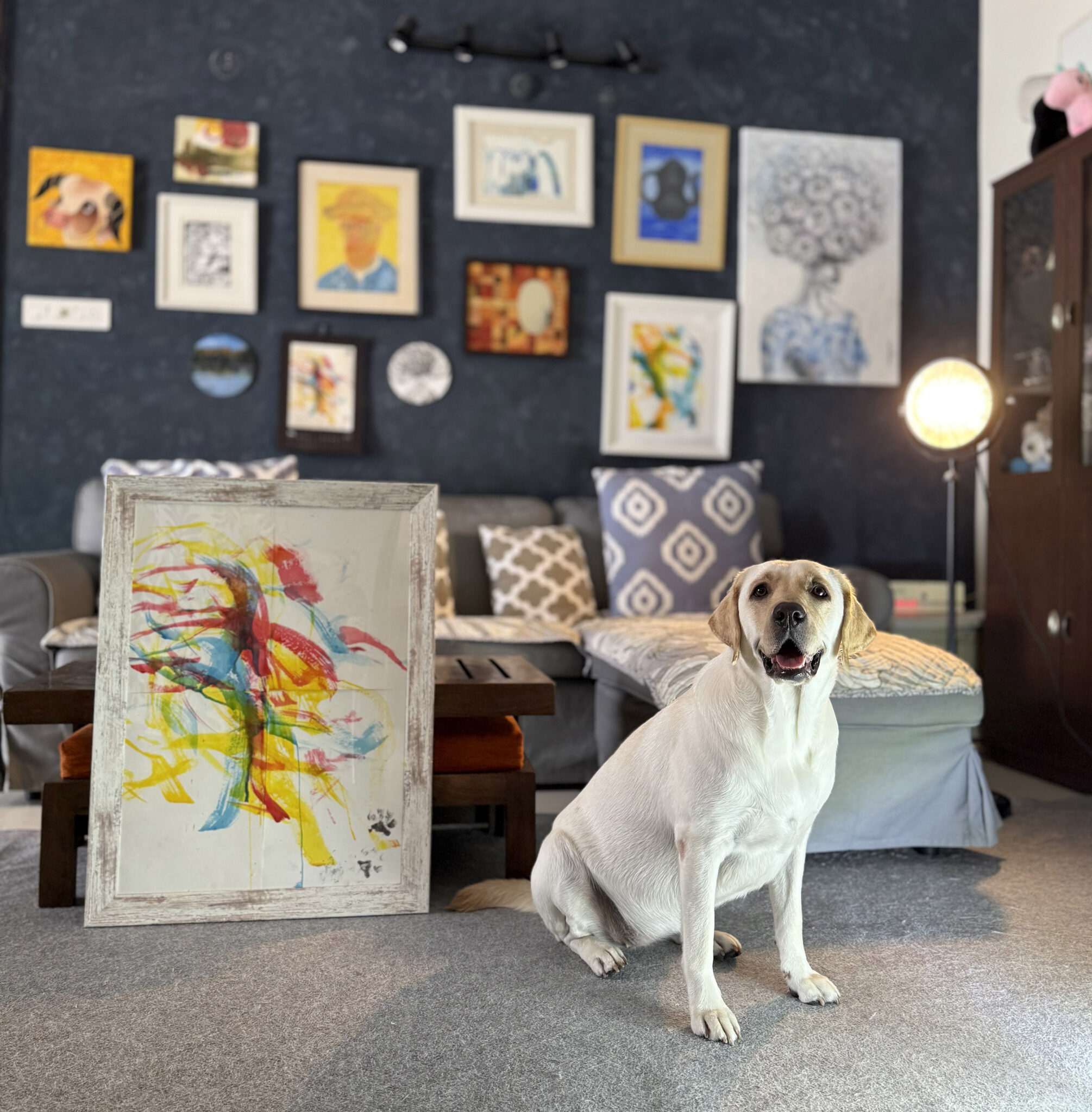 Rescued Labrador becomes India’s first dog artist – and her paintings ...