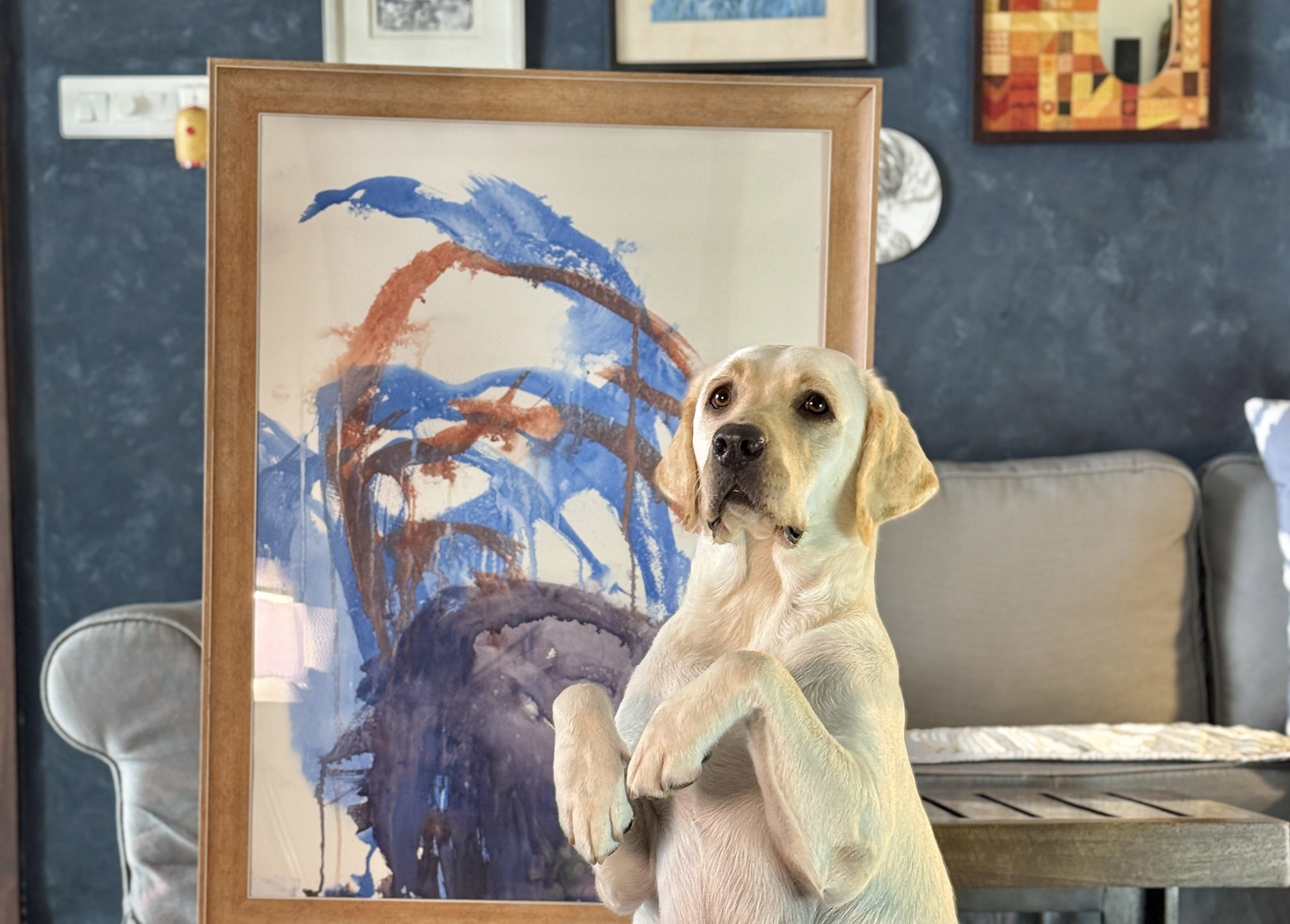 Rescued Labrador becomes India’s first dog artist – and her paintings ...