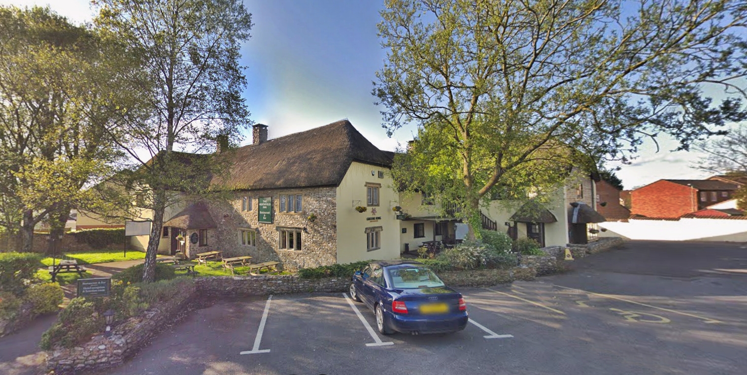 Pub-loving pup lands owner in doghouse after exposing his cheeky trips ...